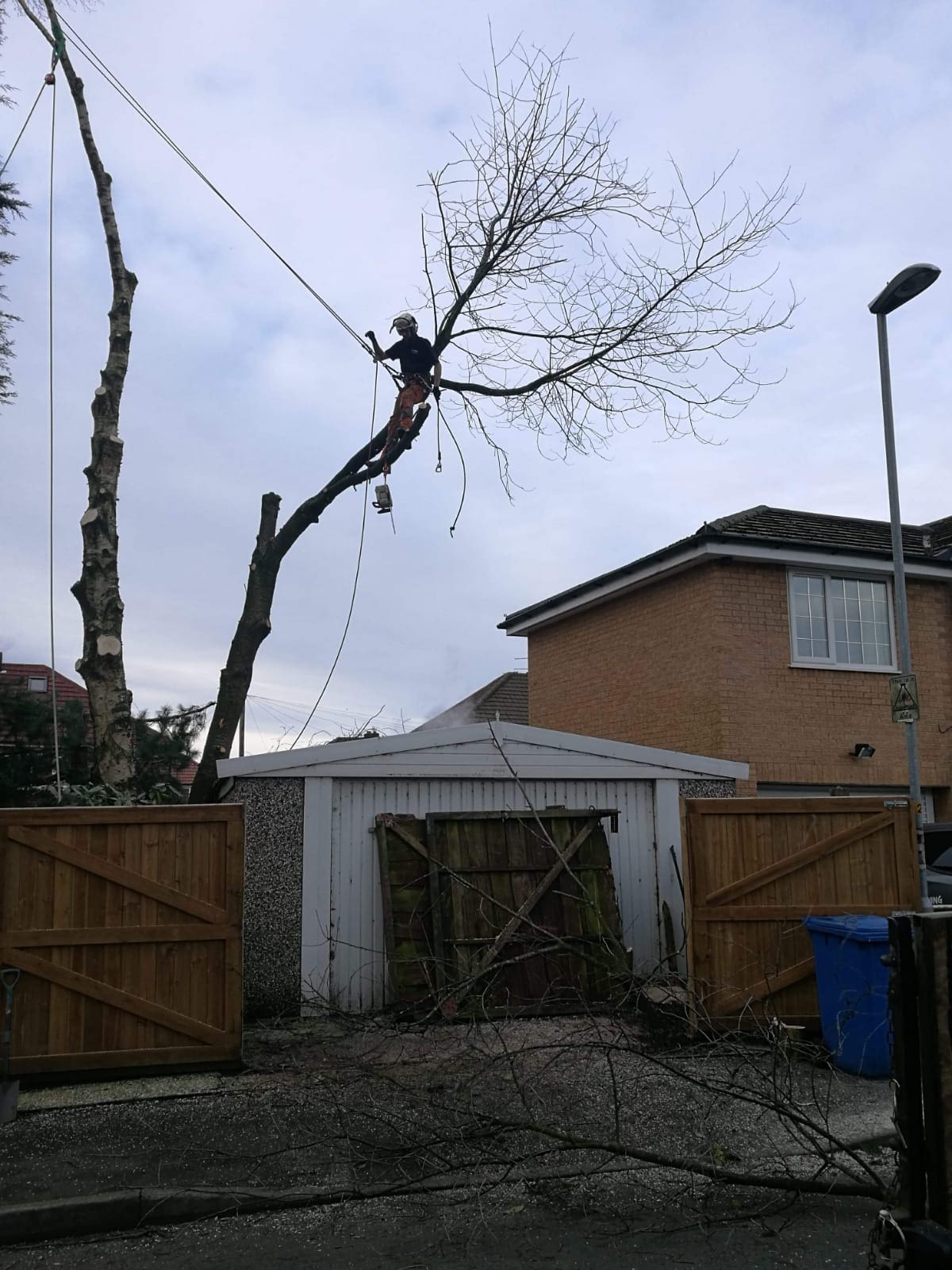 Rochdale Tree Surgeons | Tree Services by ACC Tree Care