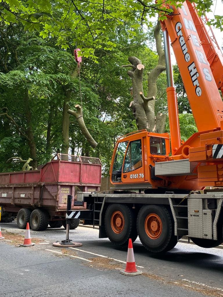 Rochdale Tree Surgeons | Tree Services by ACC Tree Care