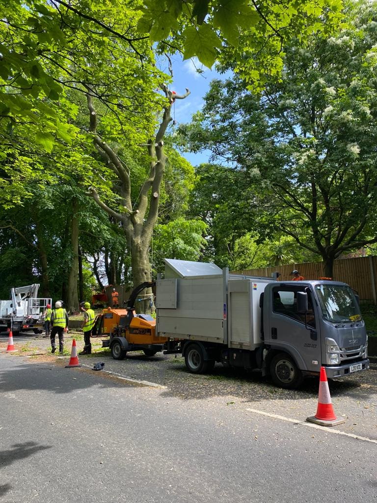 Rochdale Tree Surgeons | Tree Services by ACC Tree Care